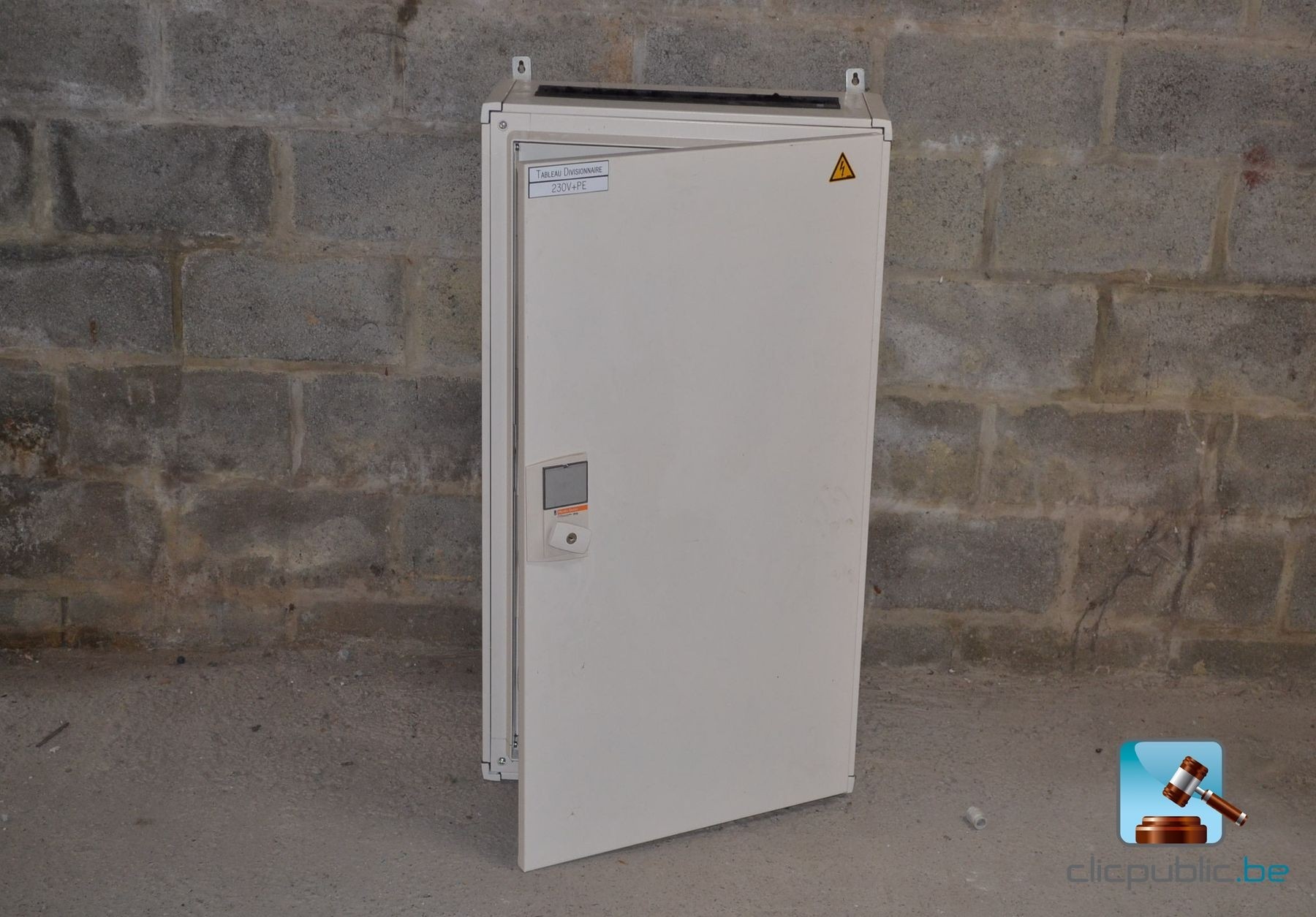 Tableau divisionnaire complet MERLIN GERIN Prisma Plus IP55 ...