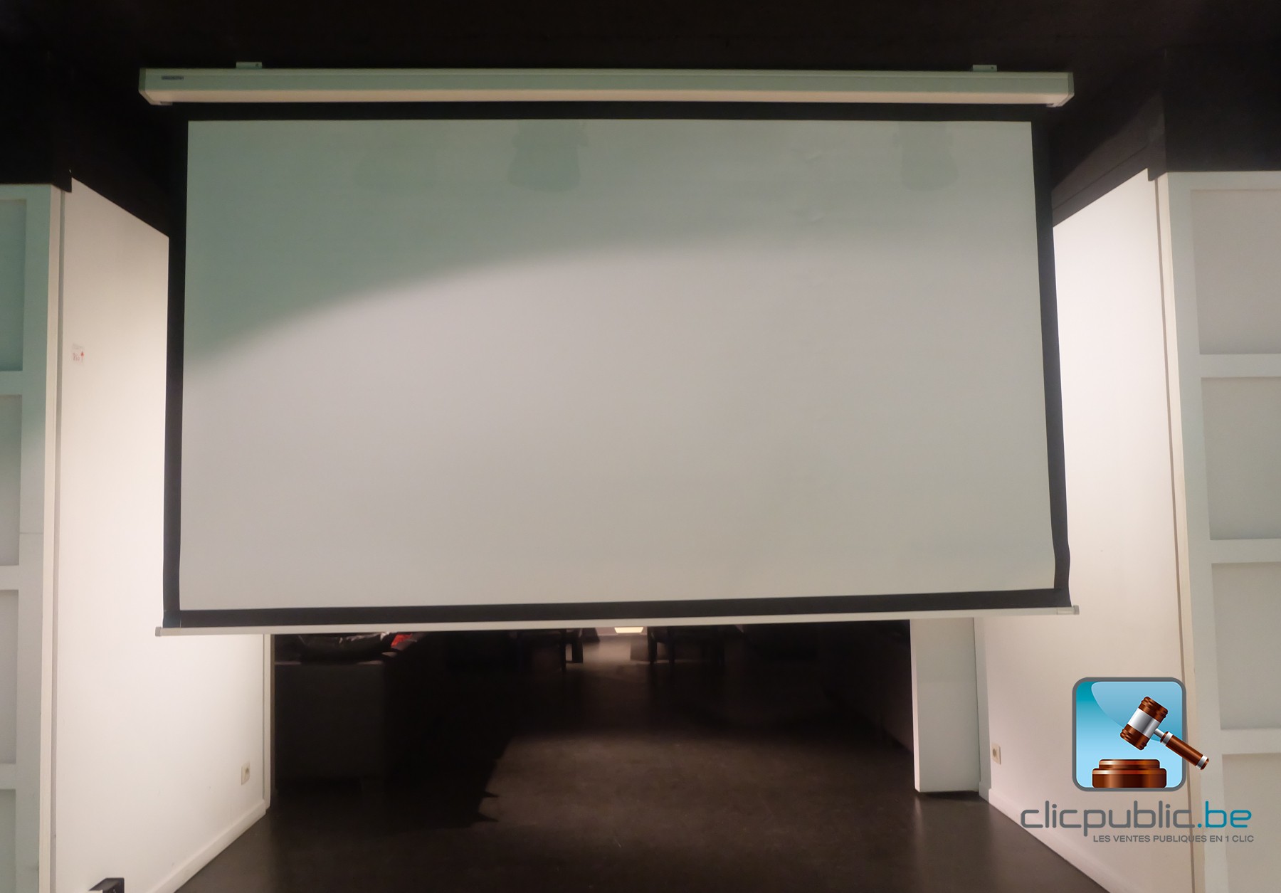 Projecteur et toile de projection - Clicpublic.be, les ventes publiques ...
