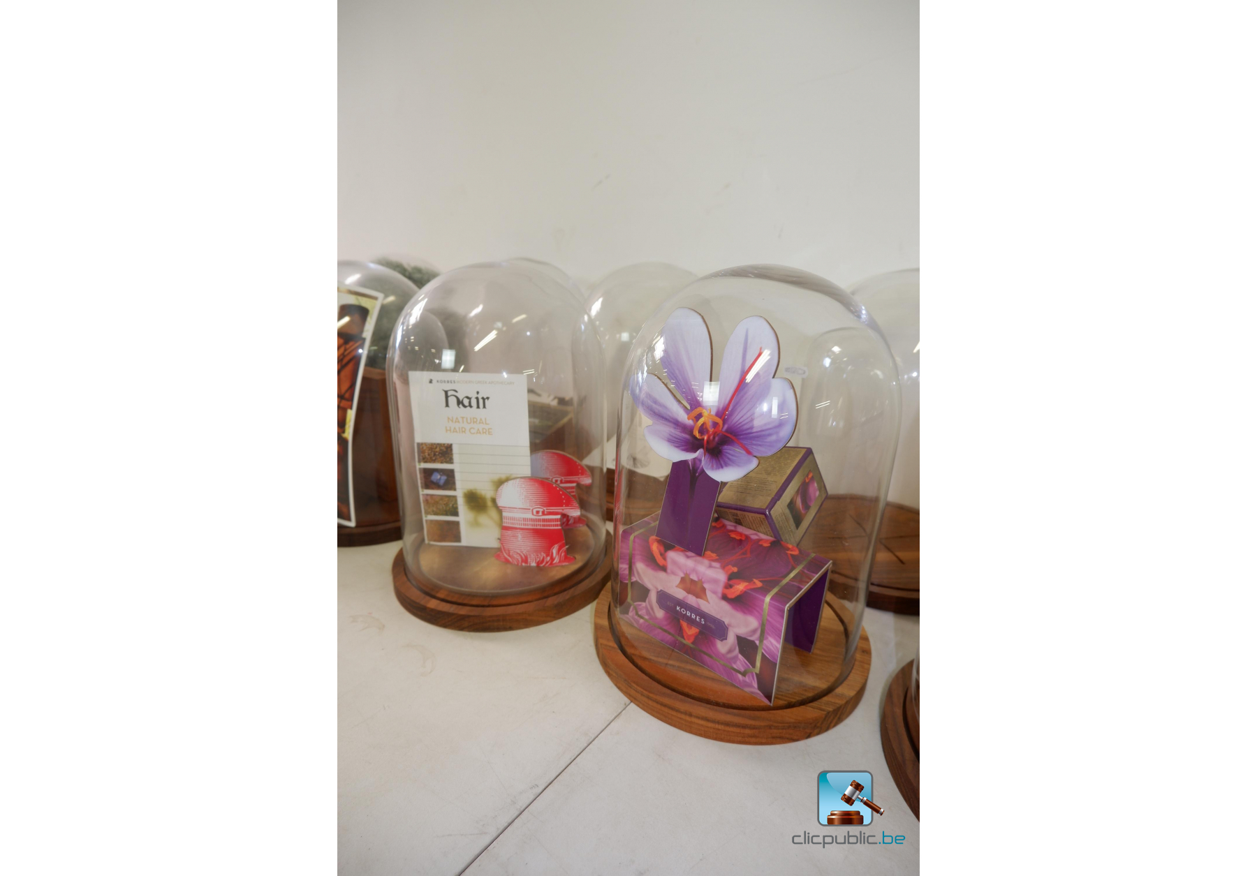 Lot de cloches de présentation - Clicpublic.be, les ventes publiques en ...